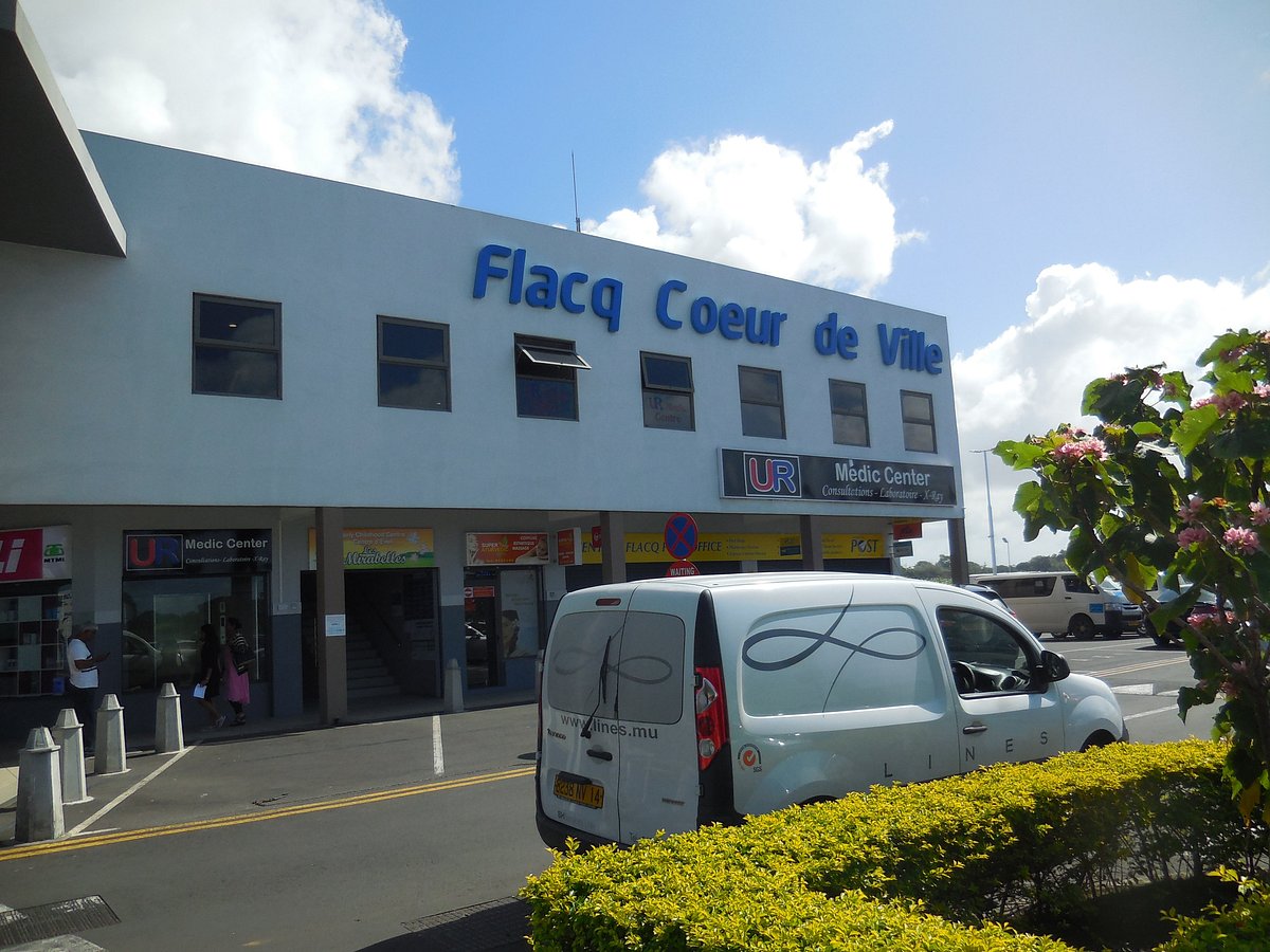 Exploring Global Flavors and Experiences: A Culinary Journey at Pizza ...