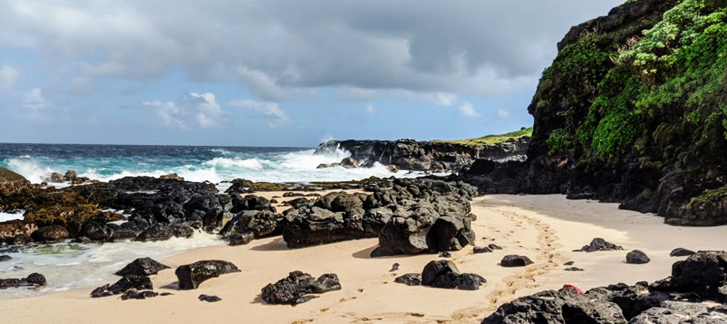 Green Getaway Embracing Sustainable Travel in Mauritius for Eco-Tourism ...