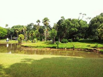 Explore the Charm of Curepipe: Top Attractions & Dining Delights