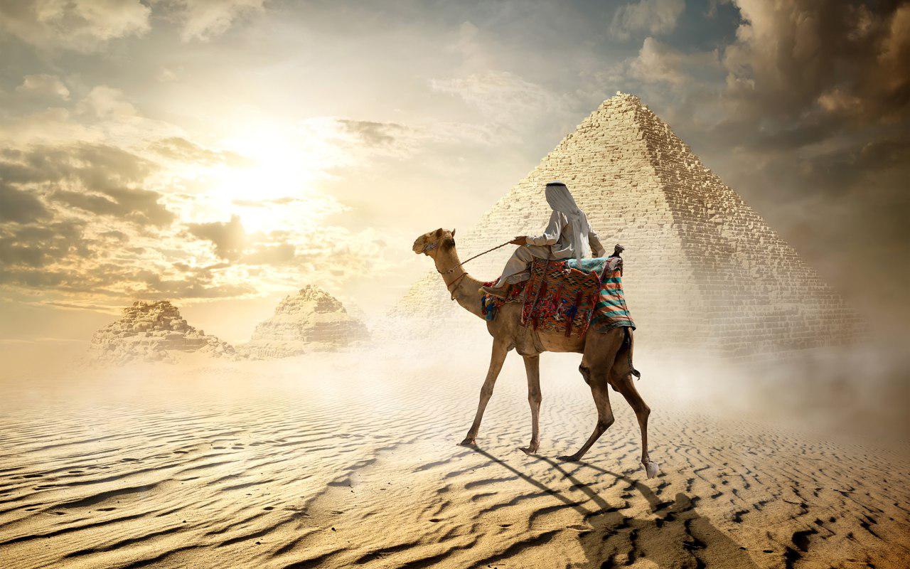Ibn Battuta: The Great Traveler of the World - A Journey Through ...
