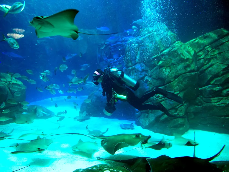 Discovering the Unique Phenomenon of the Underwater "Sandfall" in ...