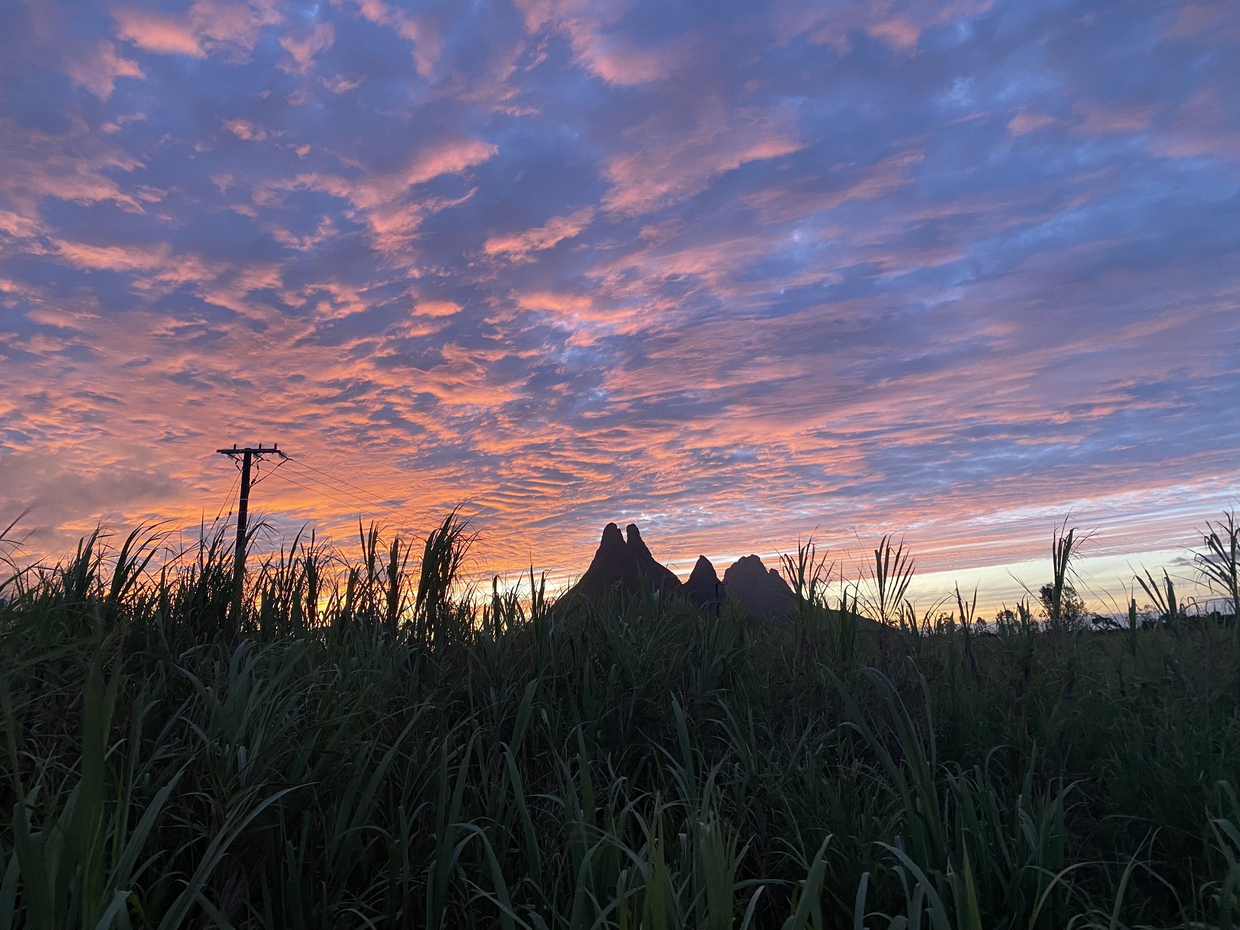 What is bad about Mauritius? | Article |Mauritius Travels