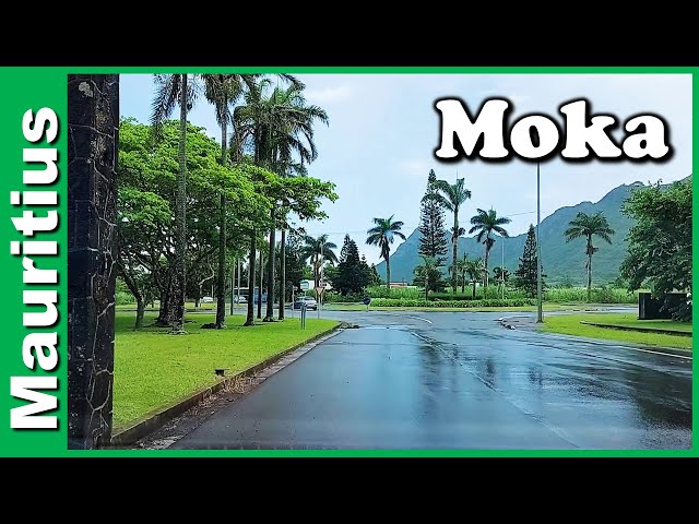 College student drowned in a pool in Moka | Latest Happenings ...